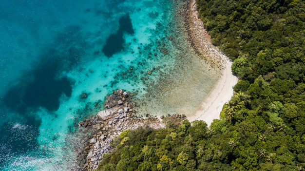 Other Services - Taxi Malaya